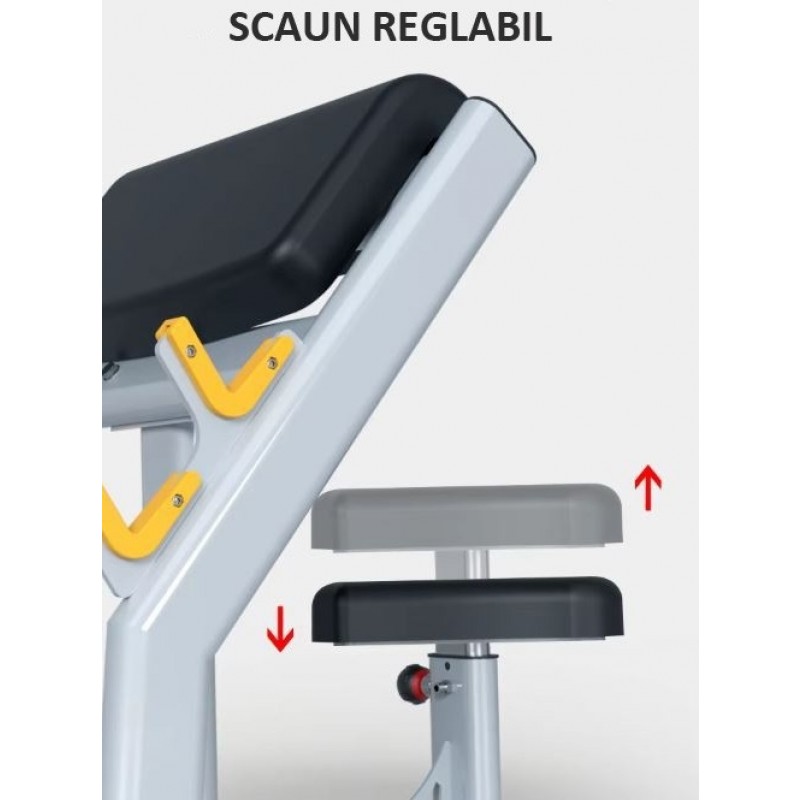 Aparat flexii biceps profesional Sportmann DGZ-1945 • Sportist