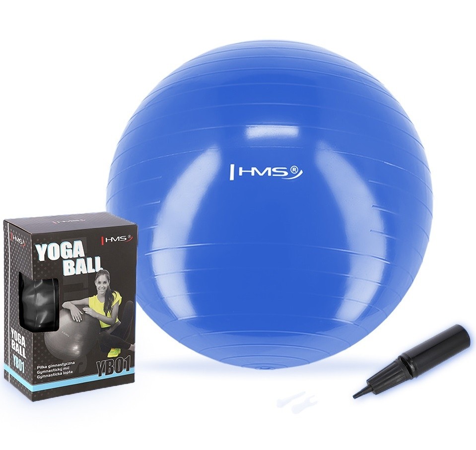 Minge aerobic cu pompa HMS YB01 55cm • Sportist